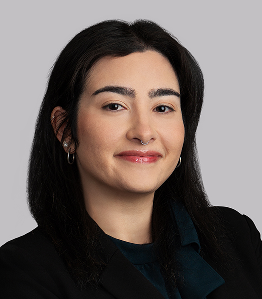 Ana Maganto Ramirez | Loeb & Loeb LLP