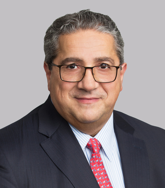 Scott I. Schneider | Loeb & Loeb LLP