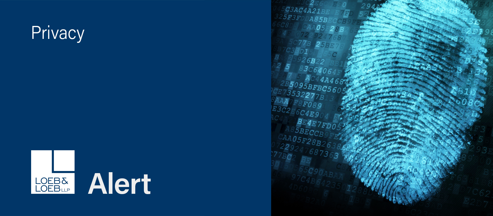 Unpacking the New York Health Information Privacy Act | Loeb & Loeb LLP