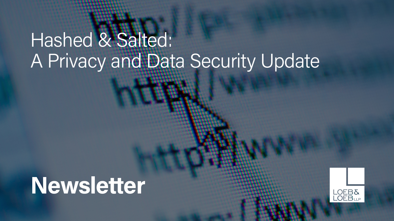 Teenage Mutant Privacy Class Action Theories | Loeb & Loeb LLP