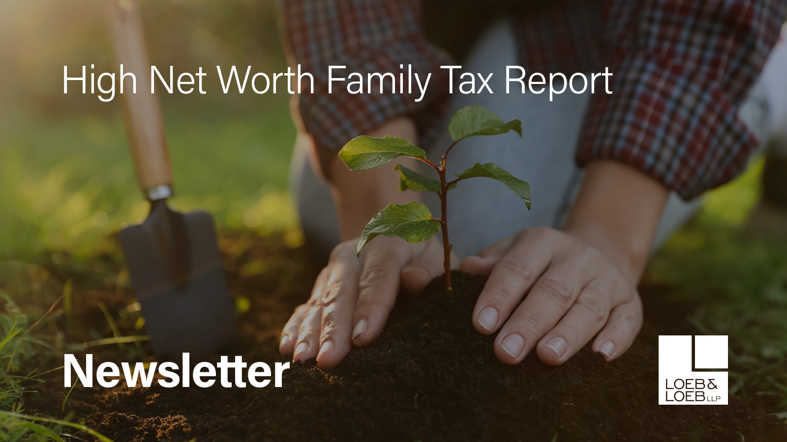 Family Office Corner: Family Foundations, Impact Investing and the Tax ...
