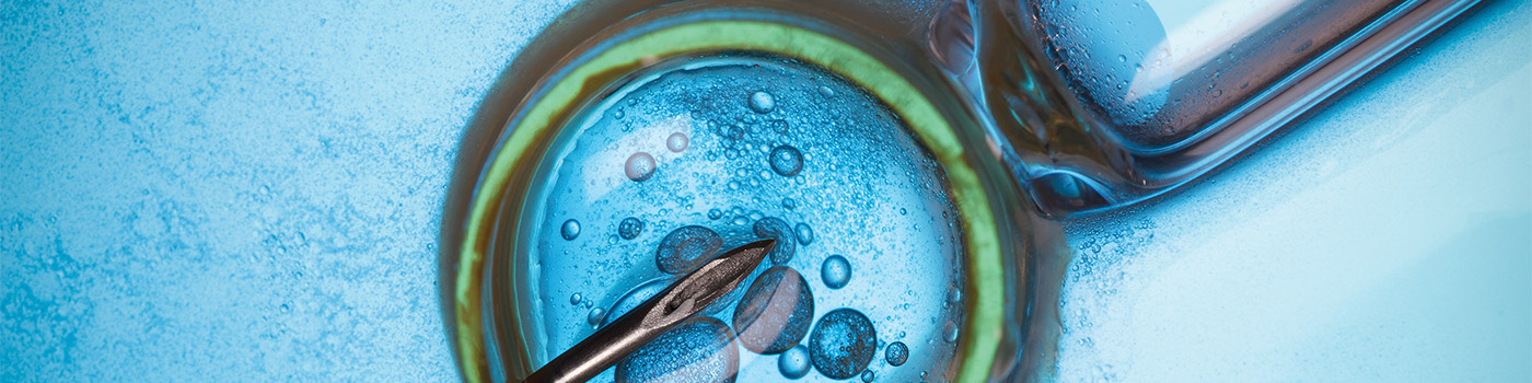 Life Sciences | Industries | Services & Industries | Loeb & Loeb LLP