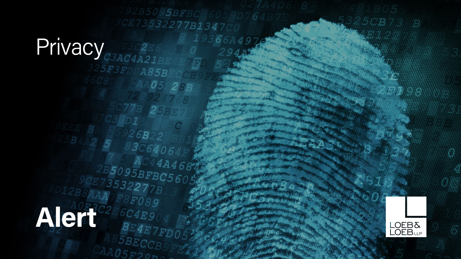 Connecticut Passes Consumer Data Privacy Law | Loeb & Loeb LLP